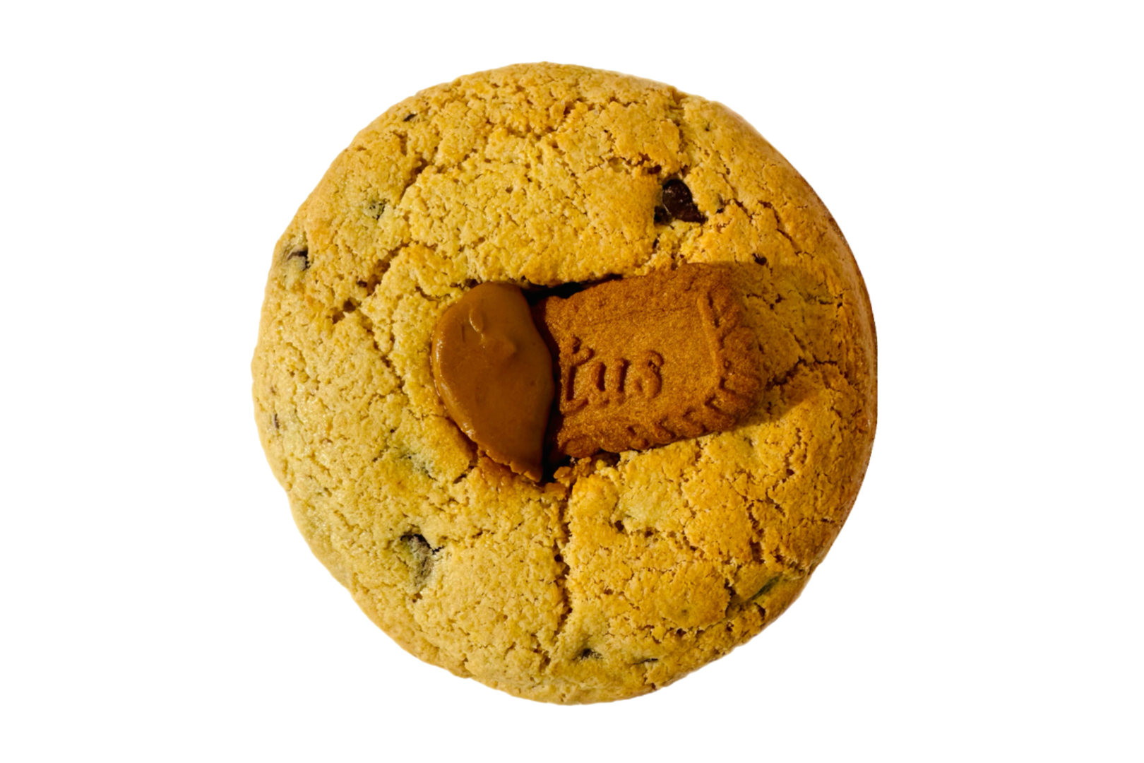 Biscoff Baller – Stay Fit Cookie Co.